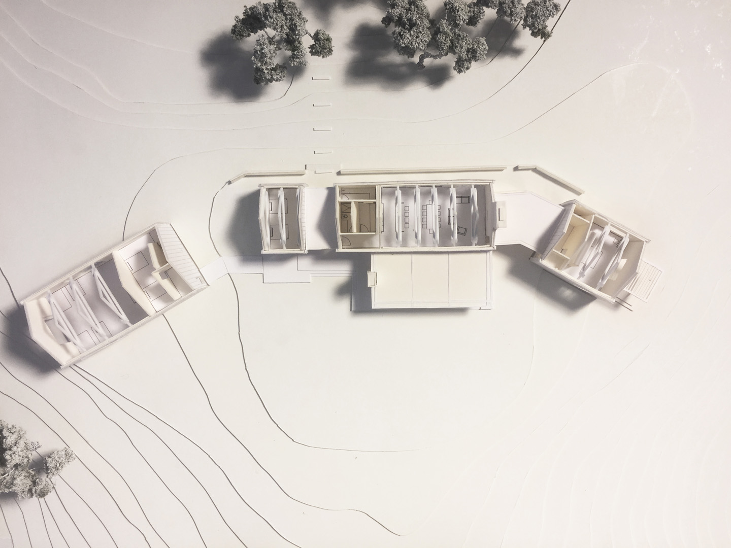 Bird Point – OLI Architecture