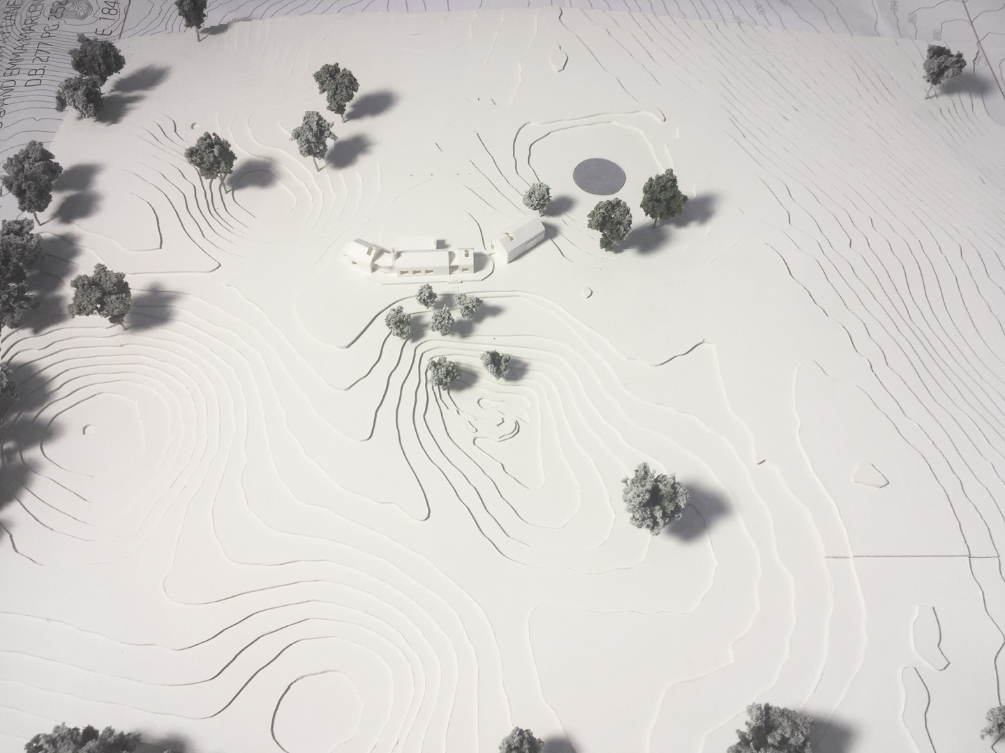 Bird Point – OLI Architecture