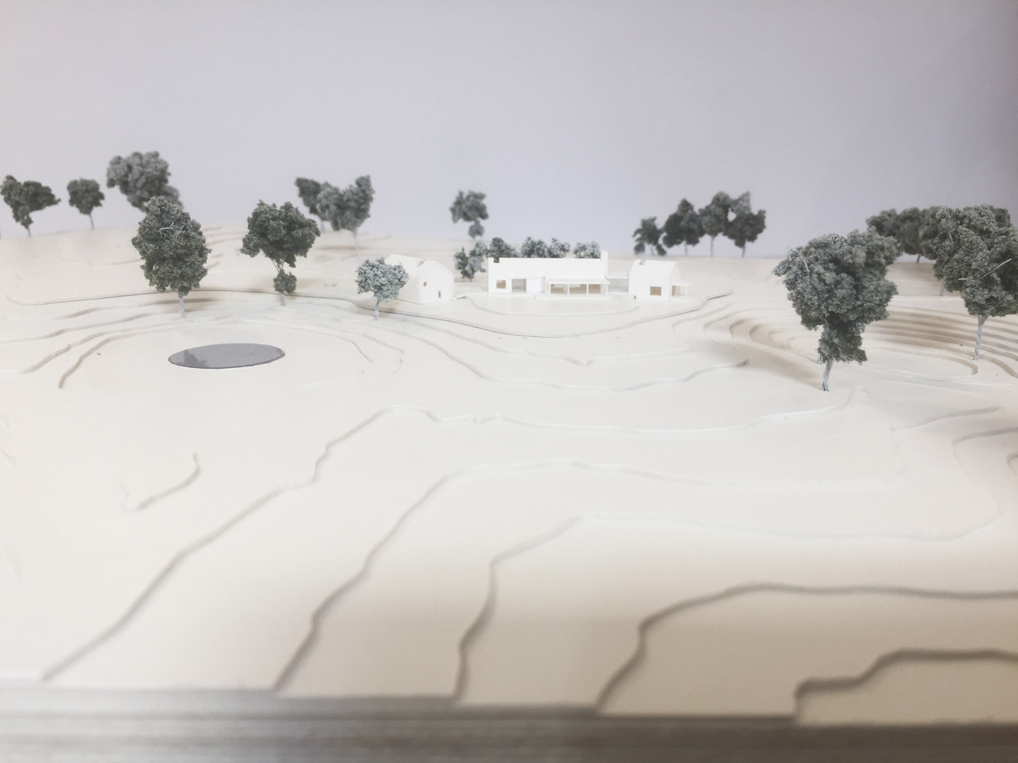 Bird Point – OLI Architecture